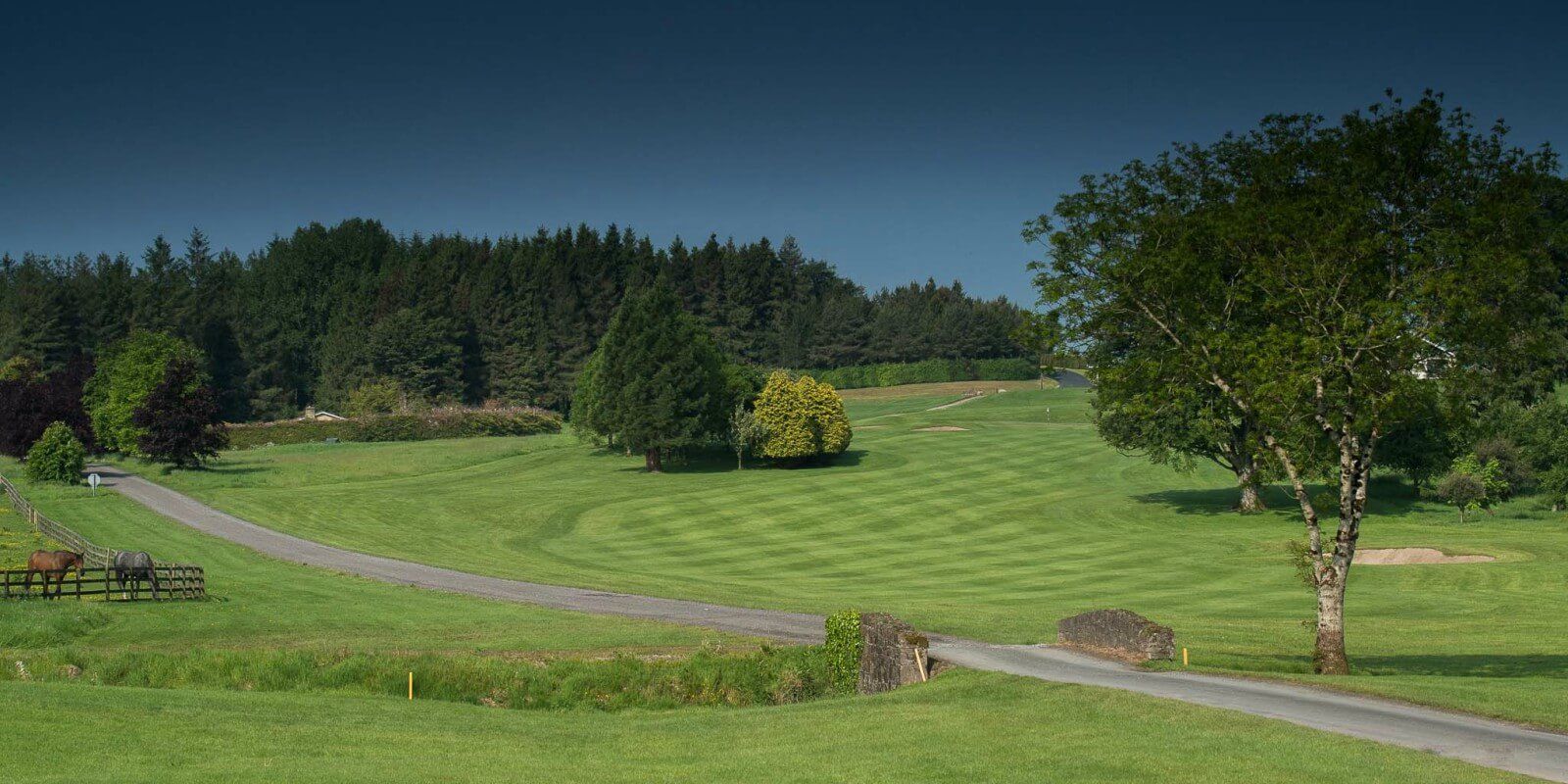 Golf Club of Dublin Rates | Wicklow Golf Club | Rathsallagh Golf Club